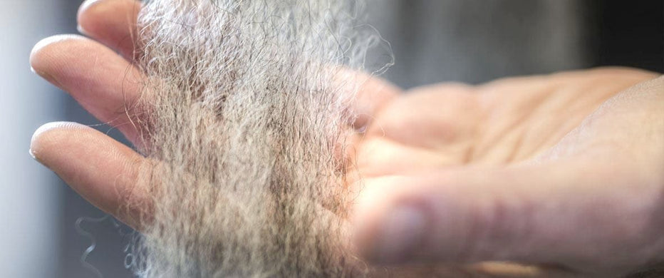 How to take care Wool – Fjallraven Asia Pacific